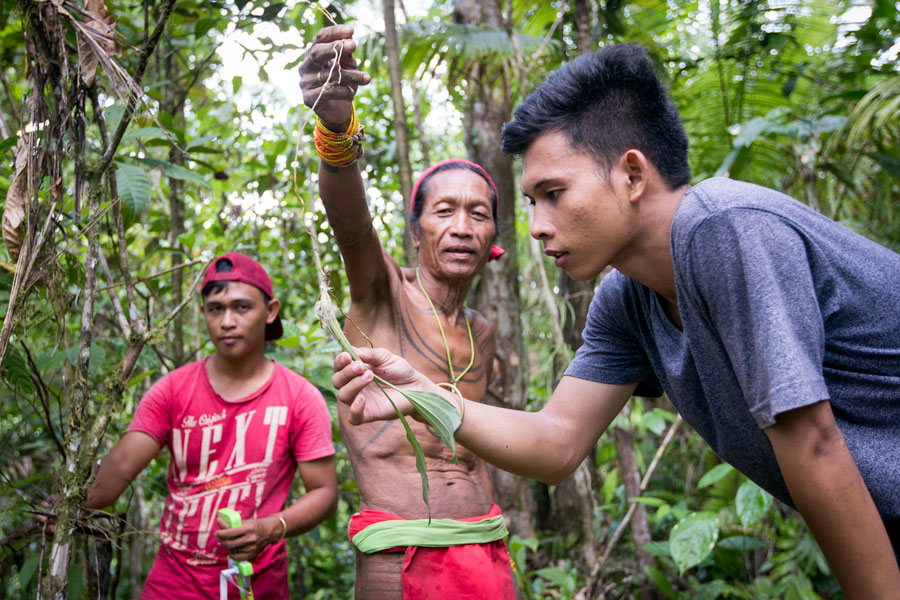 Ecology - Indigenous Education Foundation - IEF